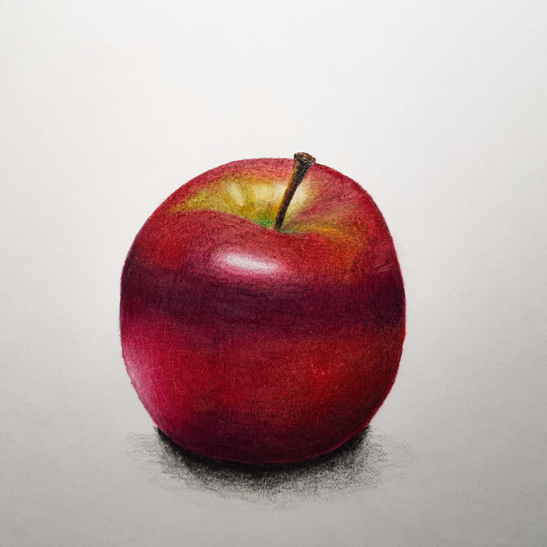 ArtStation - Traditional Drawing of an Apple