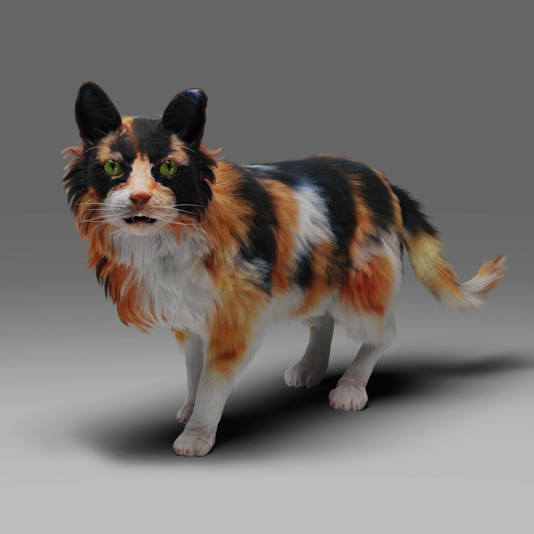 ArtStation - Fur Calico Cat V04 Rigged and Animated