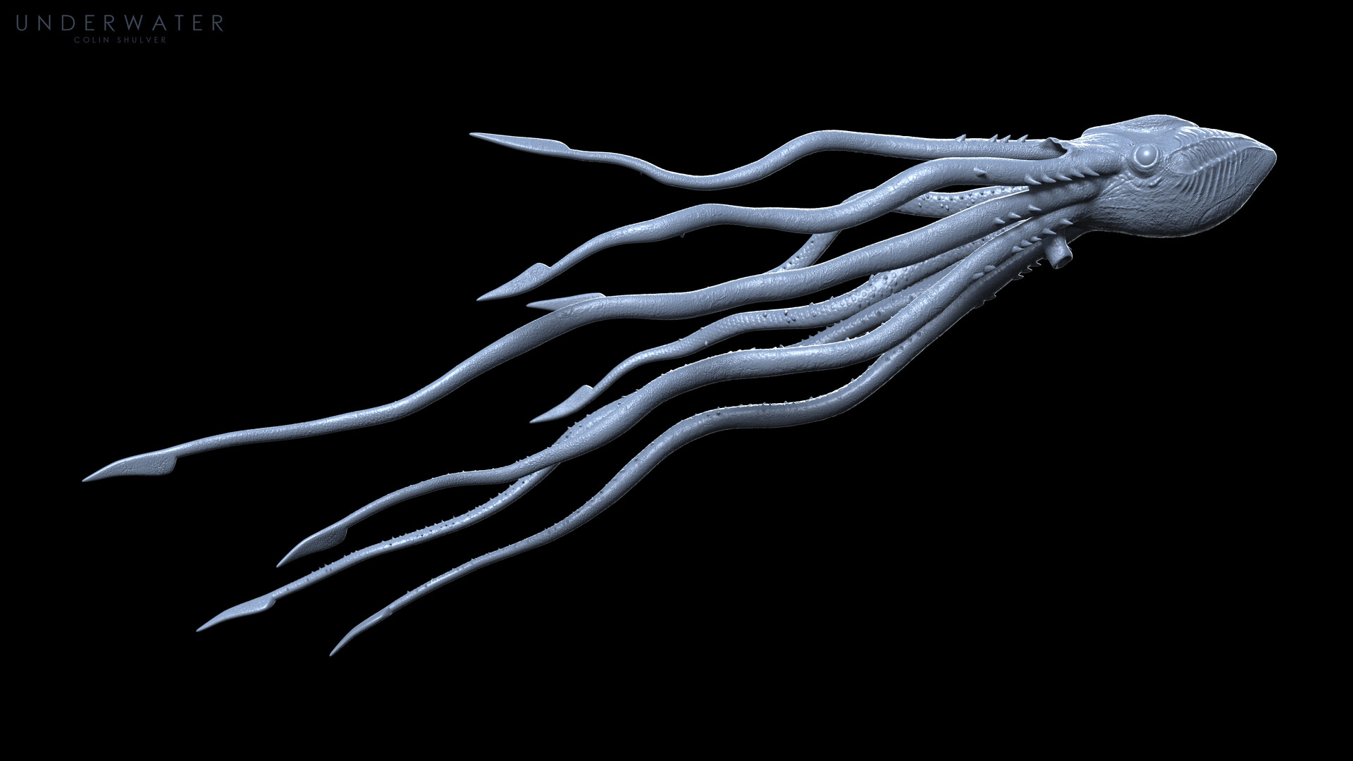 COLIN SHULVER - UNDERWATER