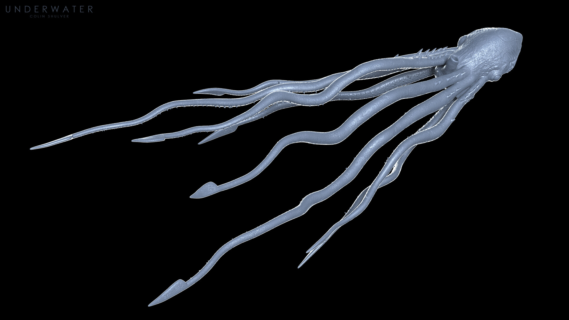 COLIN SHULVER - UNDERWATER