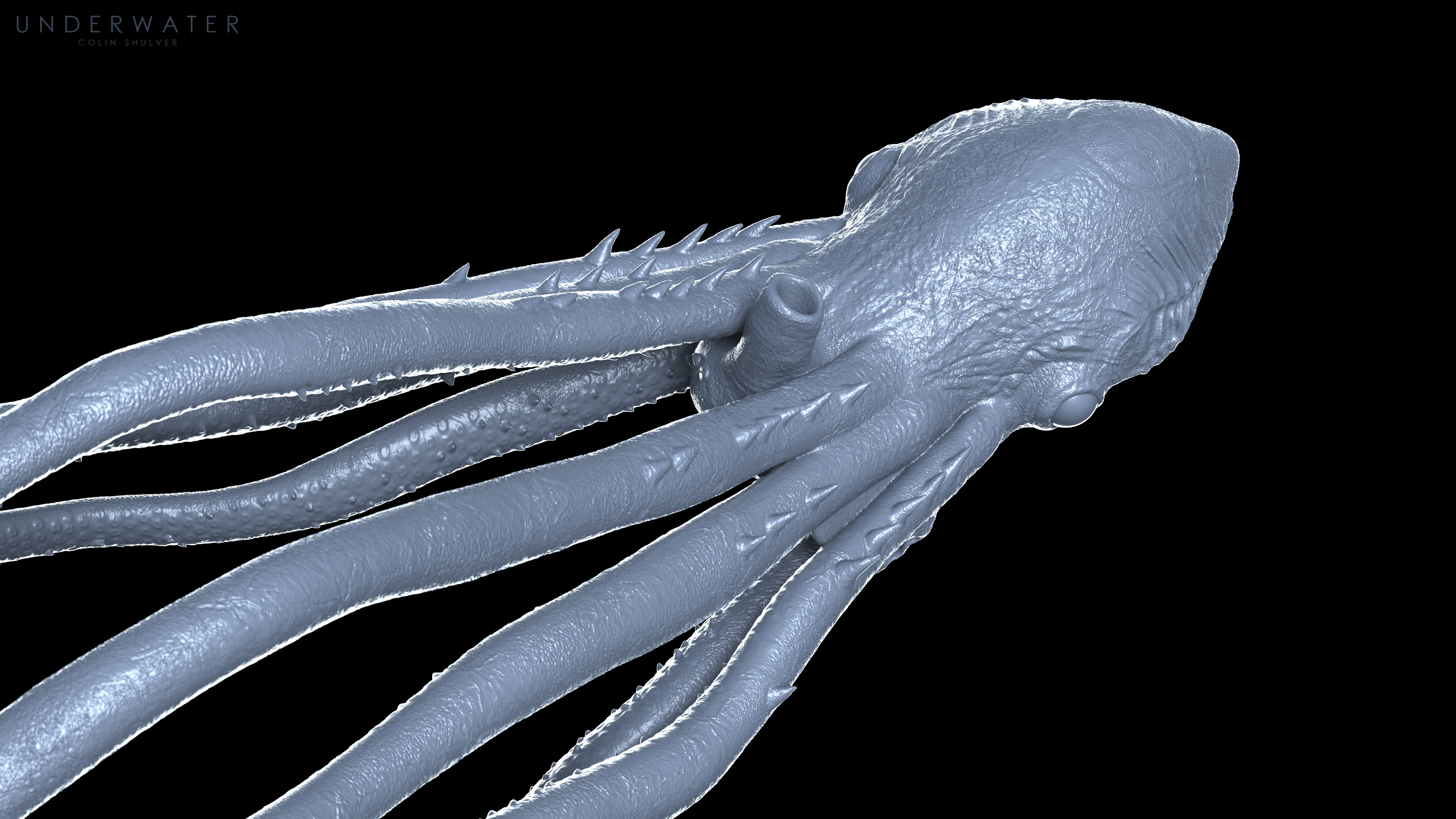 COLIN SHULVER - UNDERWATER