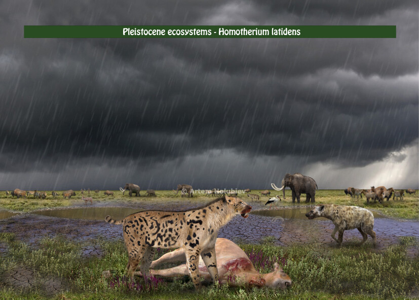 Artem Holubiev - Homotherium latidens