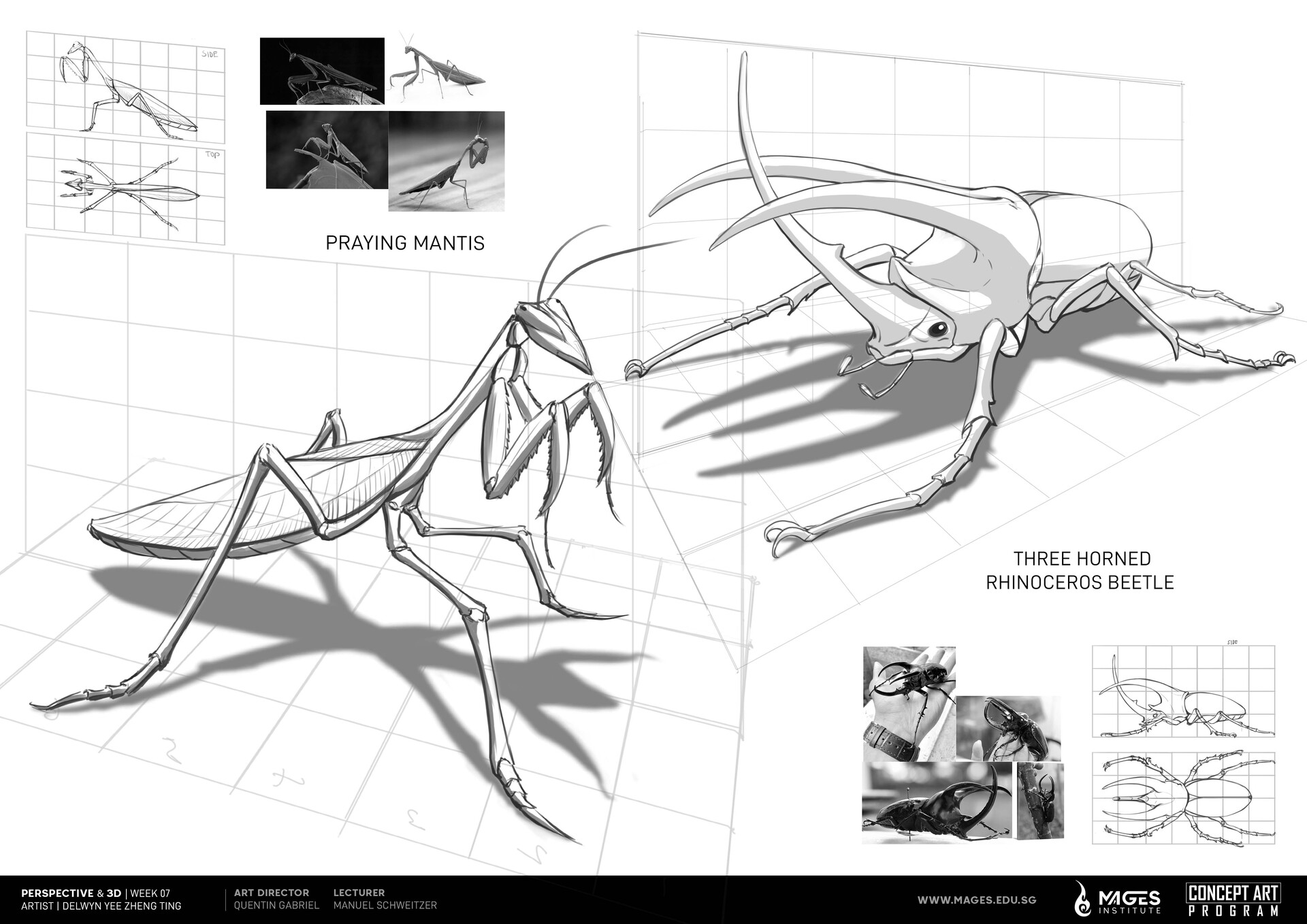 ArtStation - Insect sketches