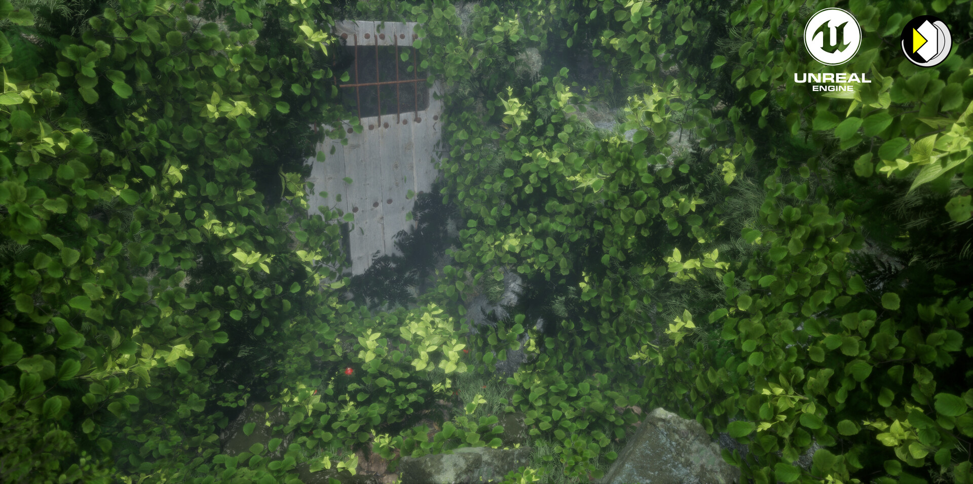 Krzysztof Tokarz - The Gate