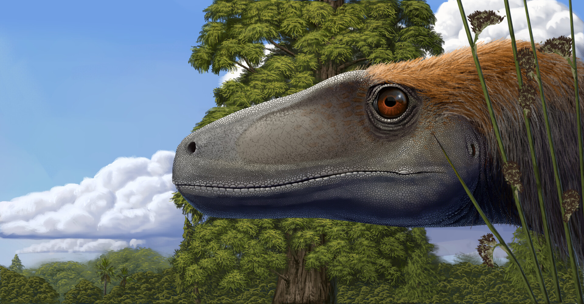 Tarbosaurus