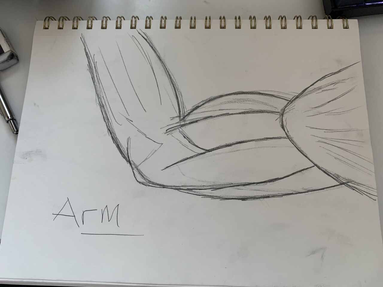ArtStation - Arm muscle sketch