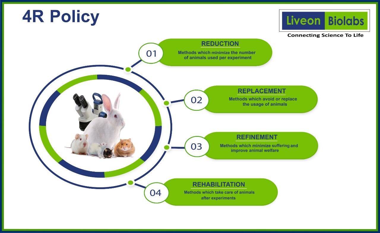 ArtStation - 4r policy