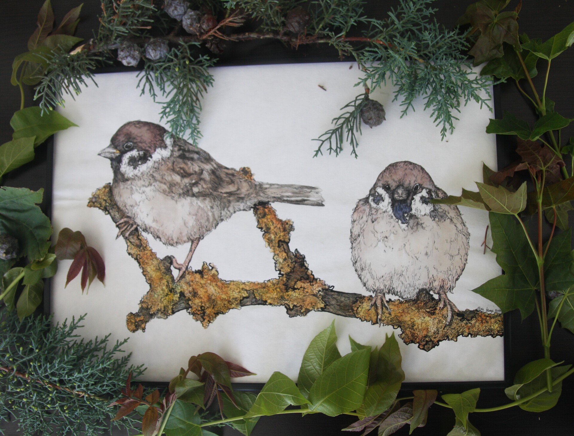 ArtStation - The Sparrows