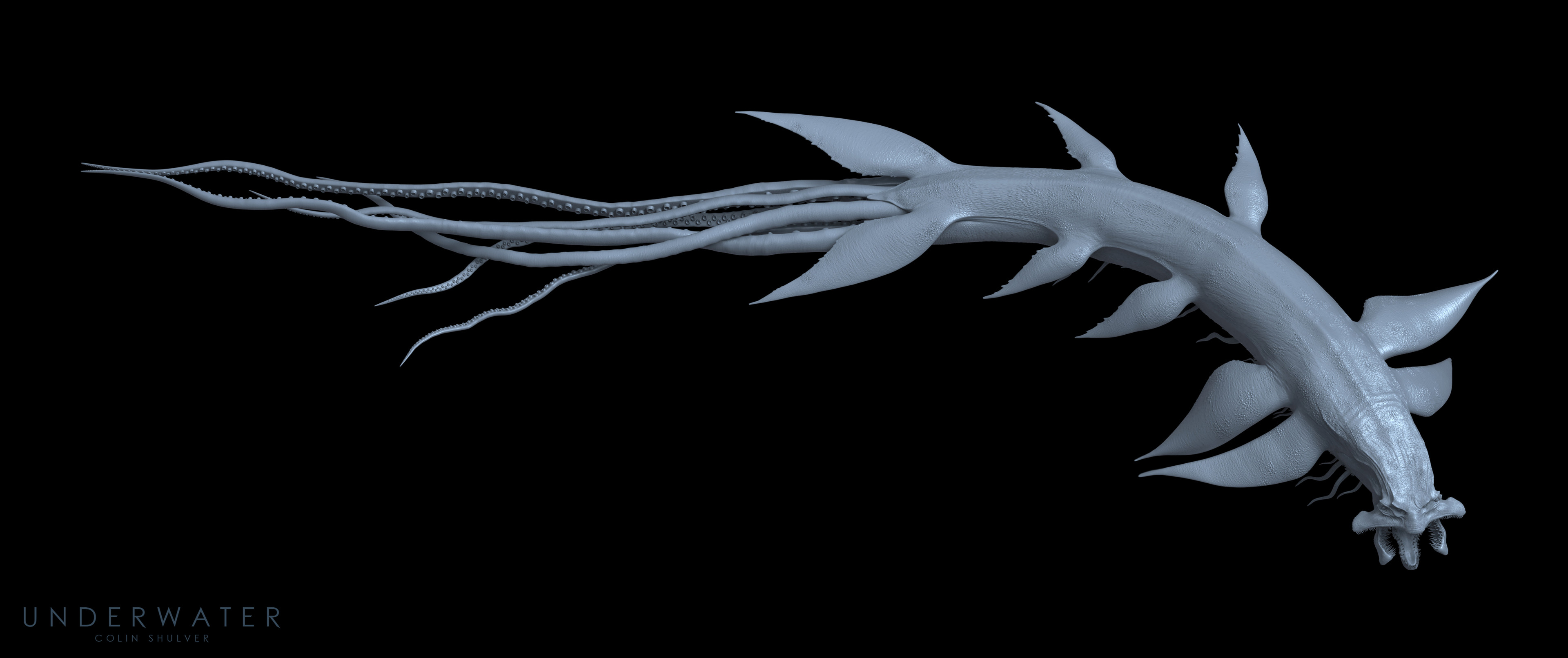 COLIN SHULVER - UNDERWATER