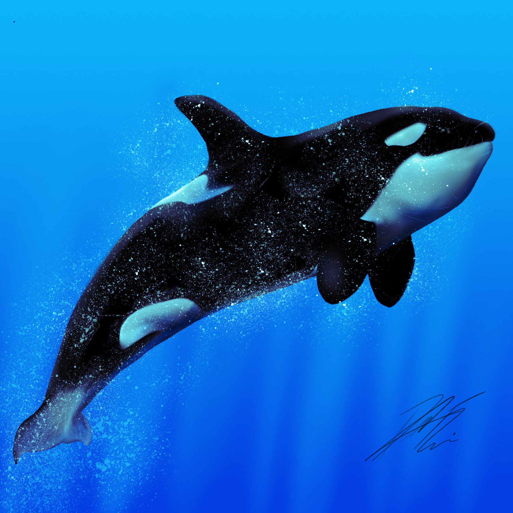 ArtStation - Orca
