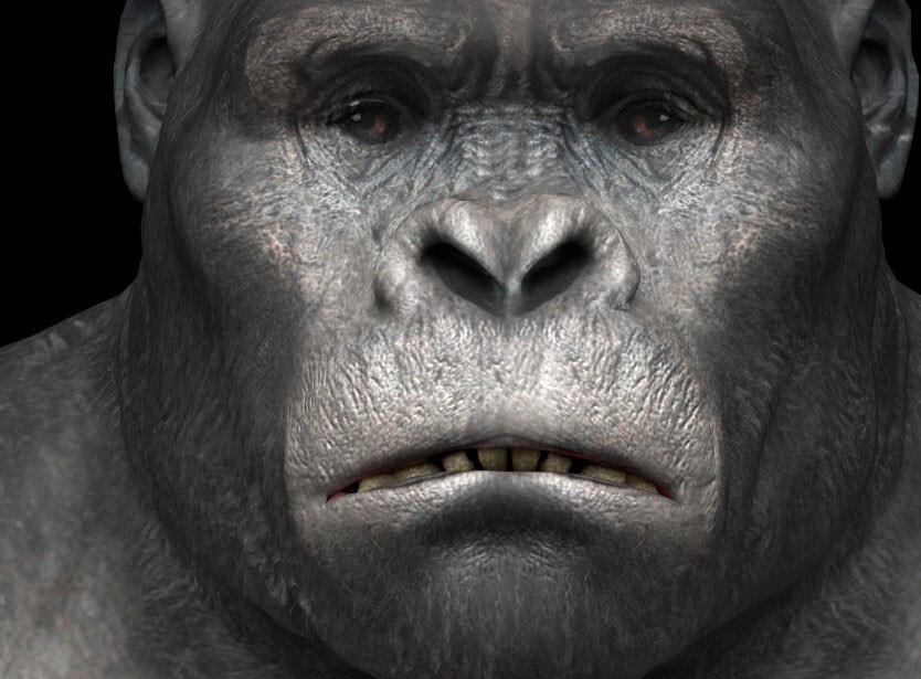 ArtStation - Ape uvsunwrapping, texturing, lighting and rendering