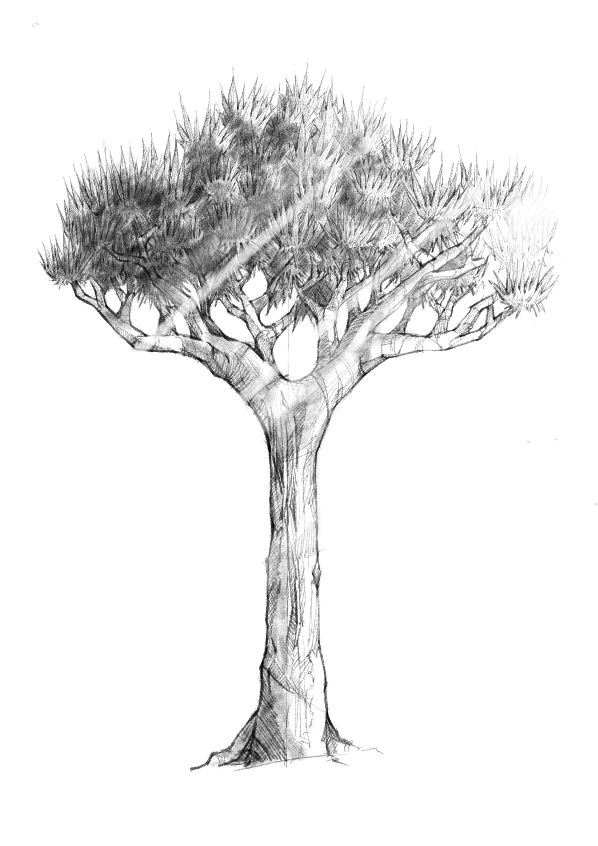 ArtStation - Baby Dragon Tree