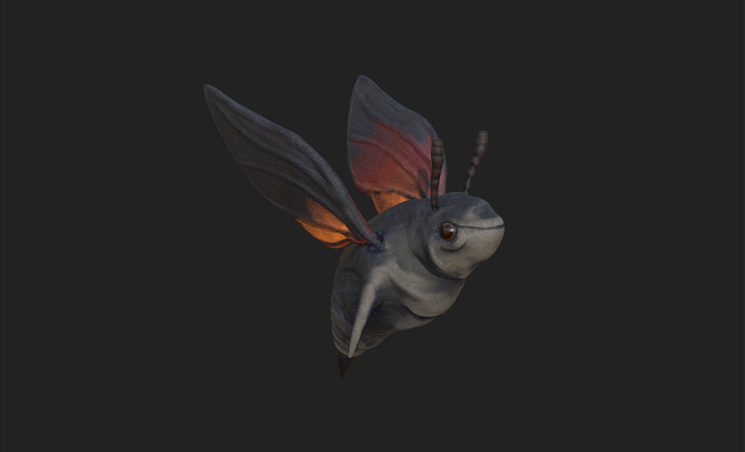 ArtStation - Hummingbird Hawk Moth
