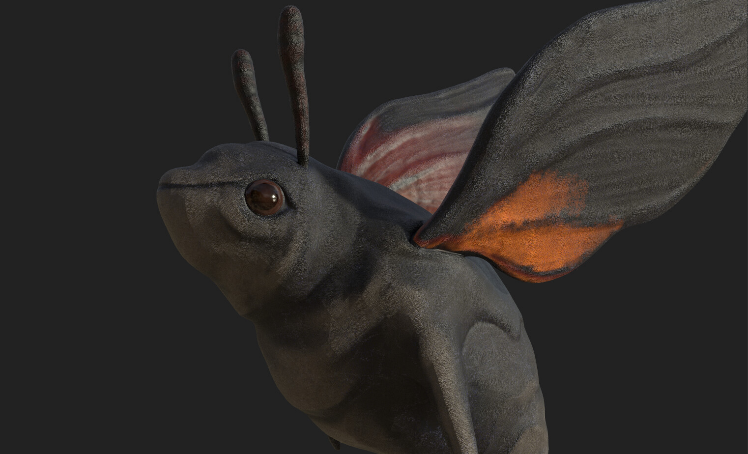 Jaime Ward - Hummingbird Hawk Moth