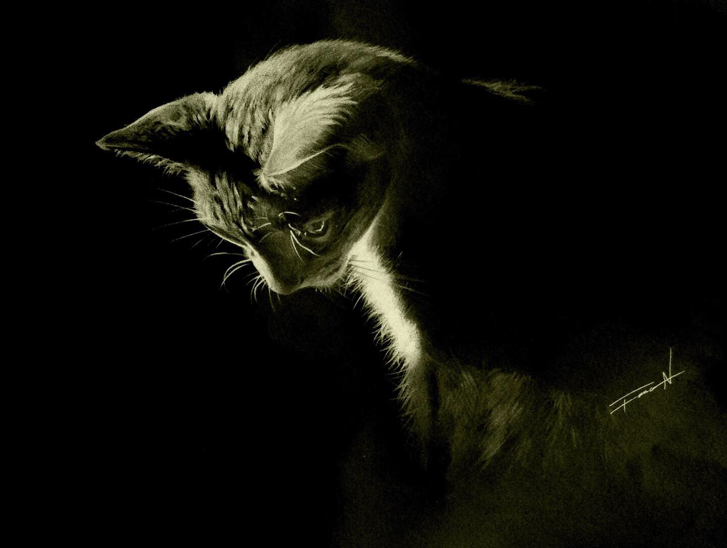 ArtStation - Negative drawing of a cat