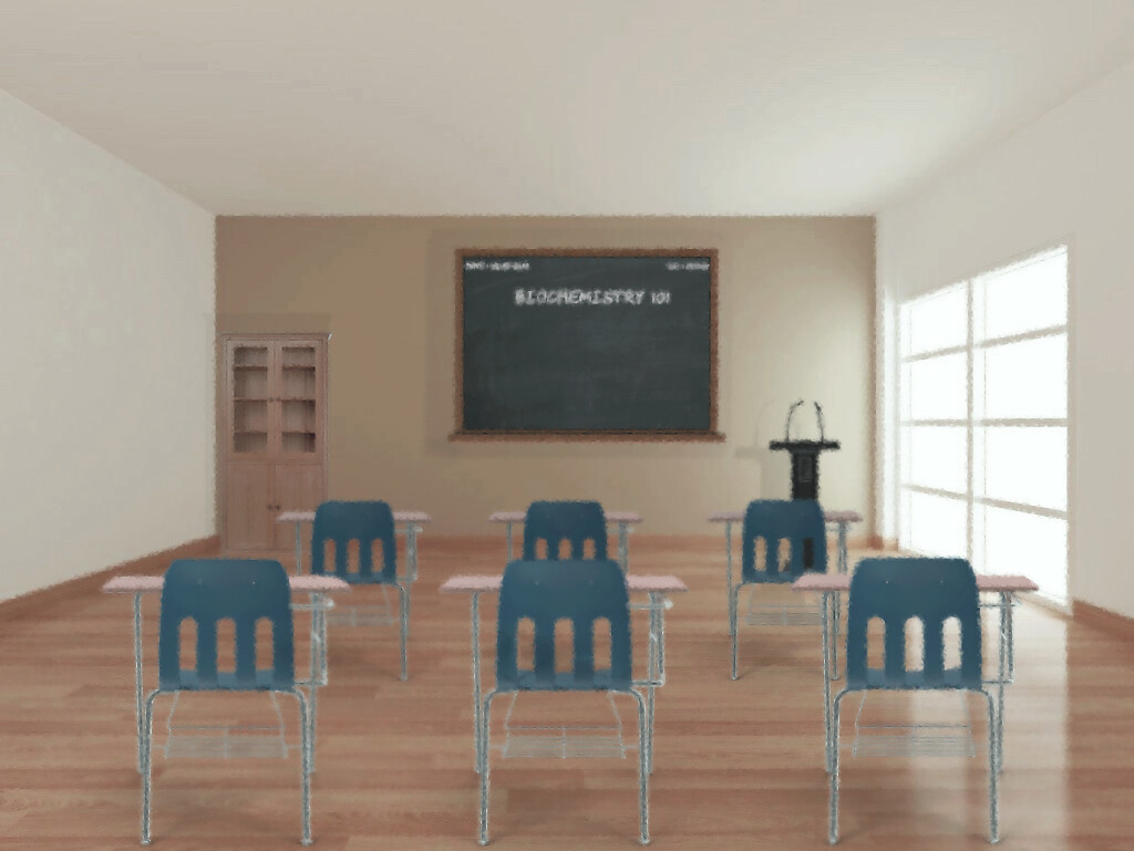 Arisha Sheikh - Memento Mori - A Video Game Concept