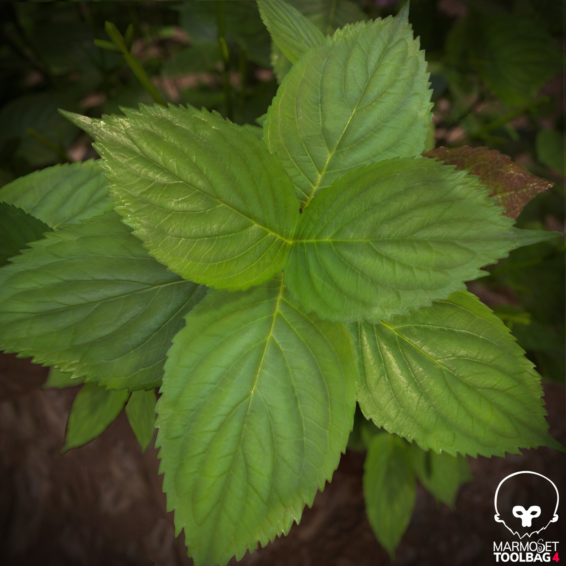 Eric Blaida - Hydrangea bush game-ready.