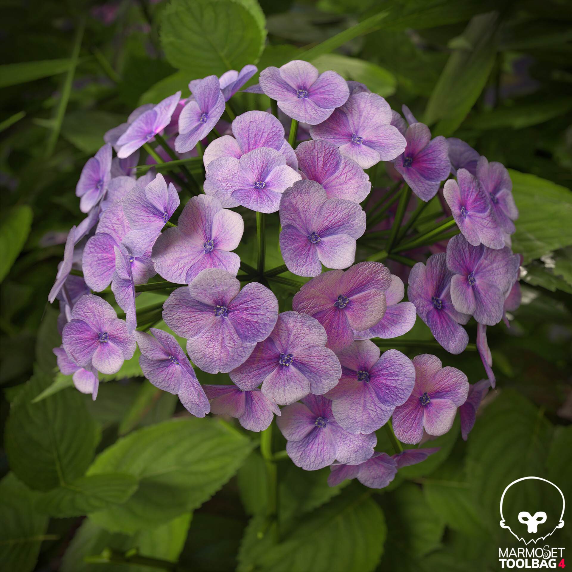 Eric Blaida - Hydrangea bush game-ready.