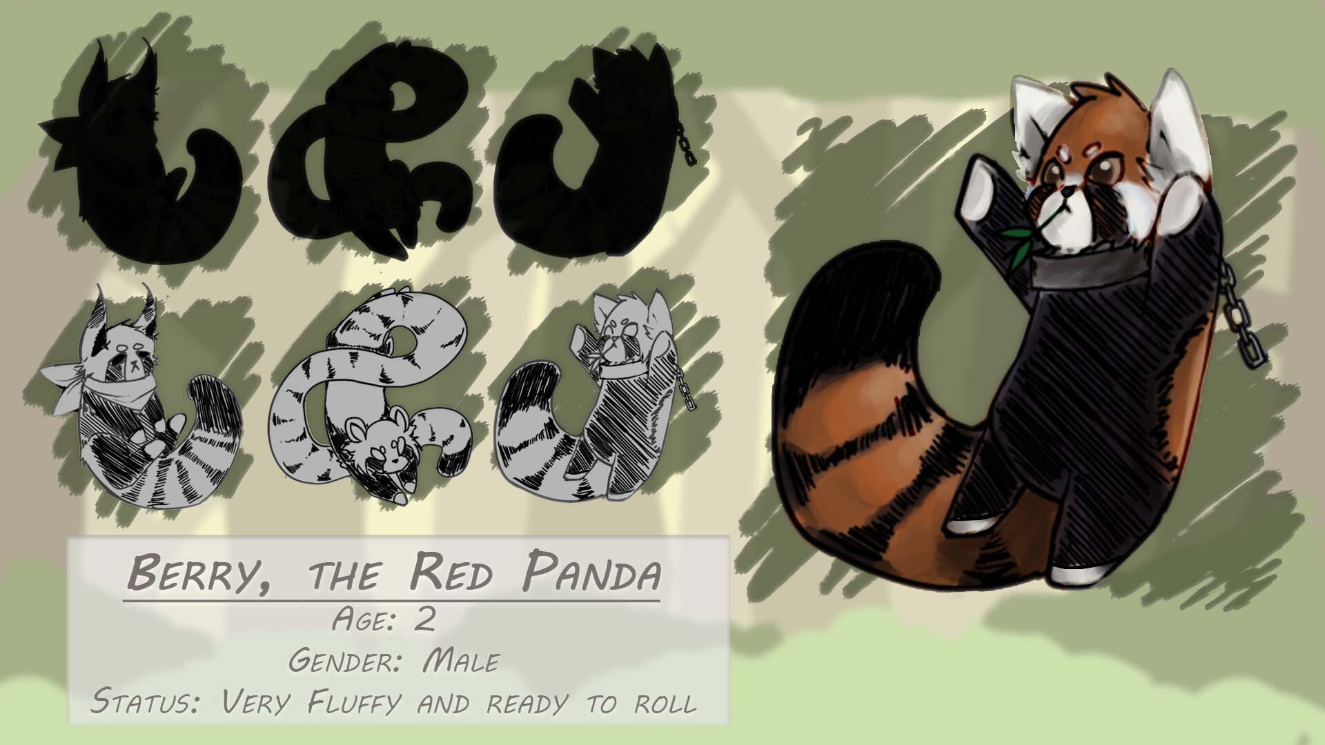 ArtStation - Character Design: Berry, the Red Panda