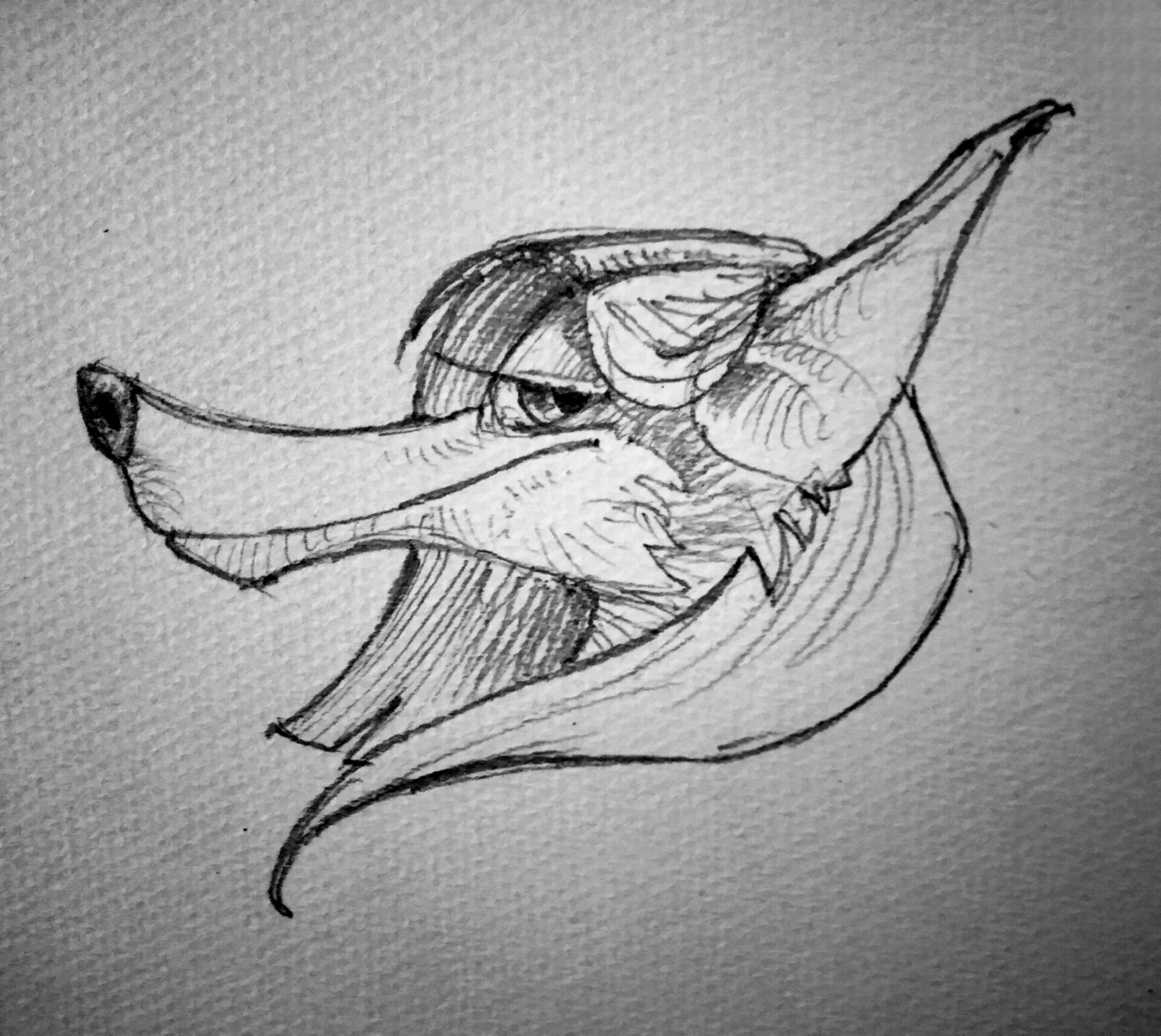 ArtStation - Fox concept