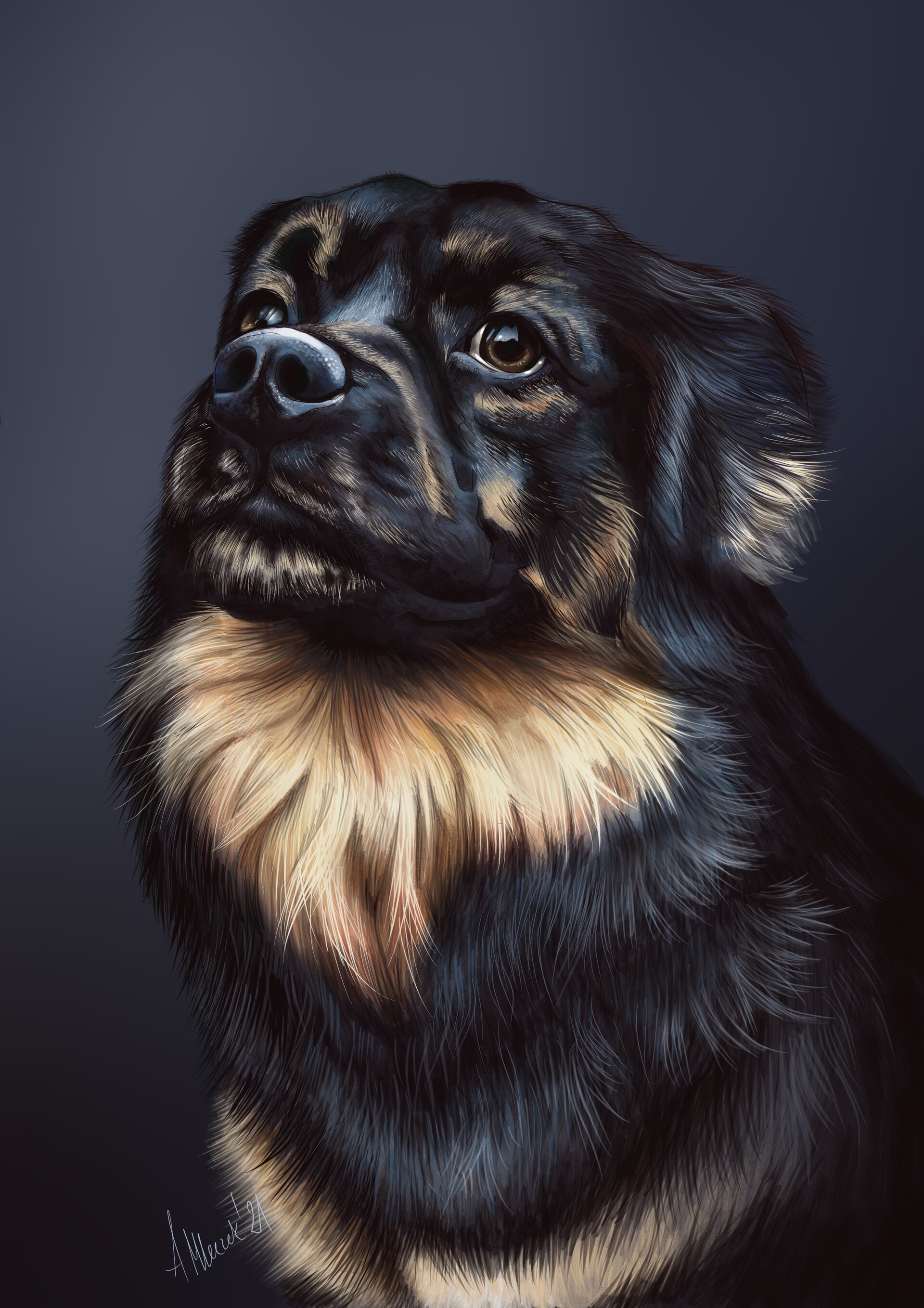 ArtStation - Dog