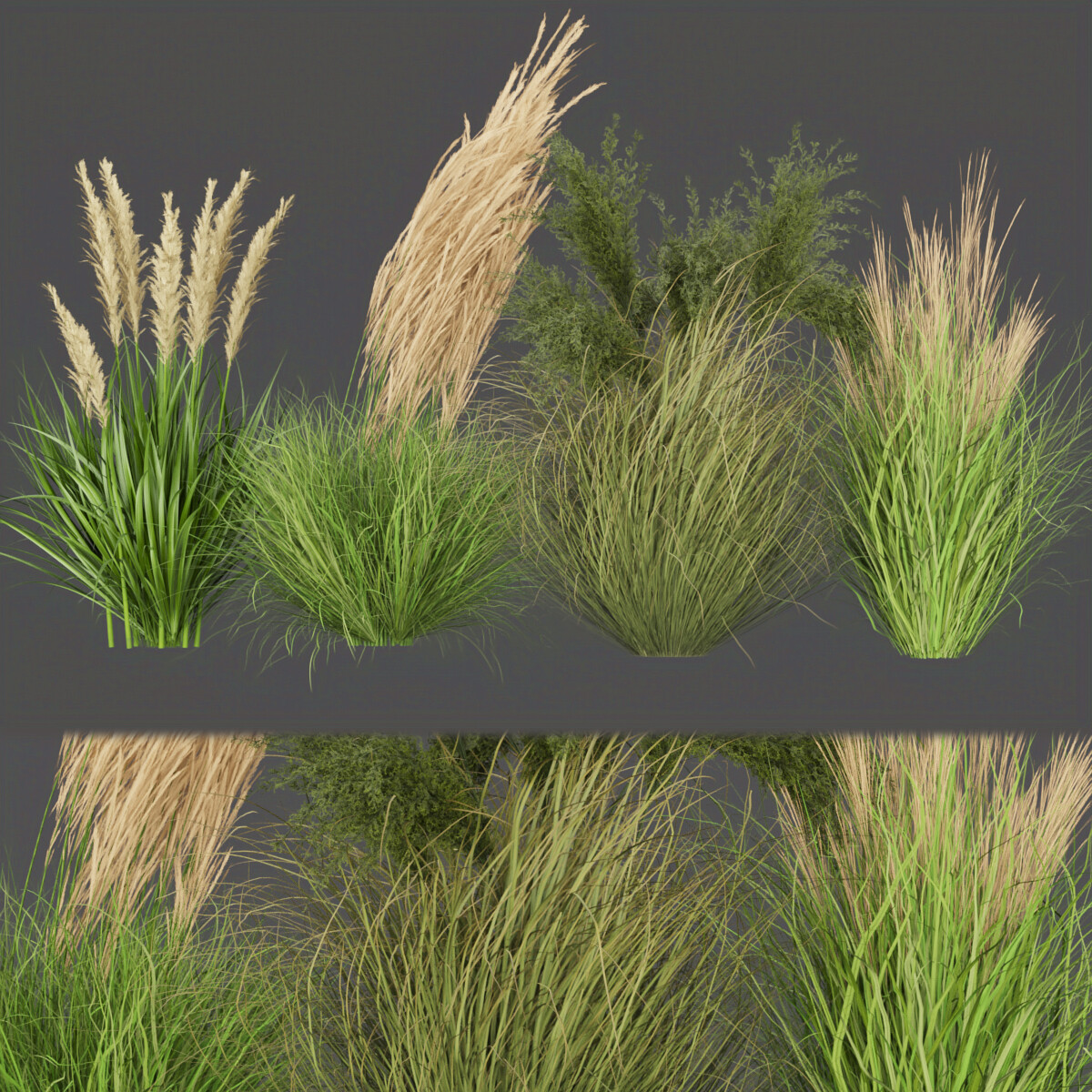 ArtStation - Collection plant vol 287 - outdoor - grass - blender ...