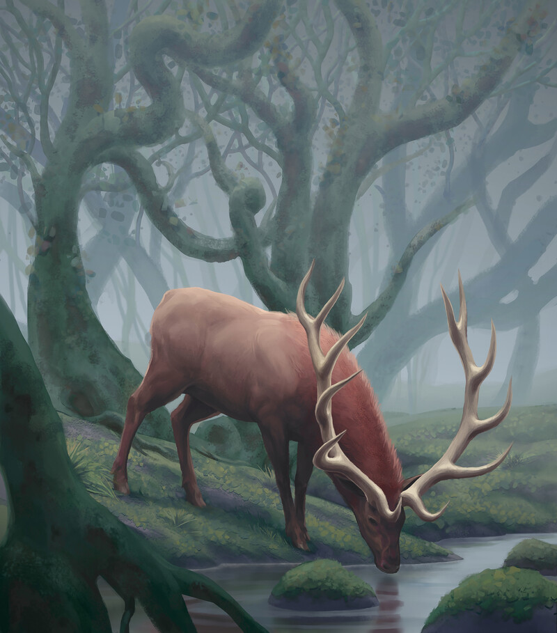 ArtStation - Danko Pantovic