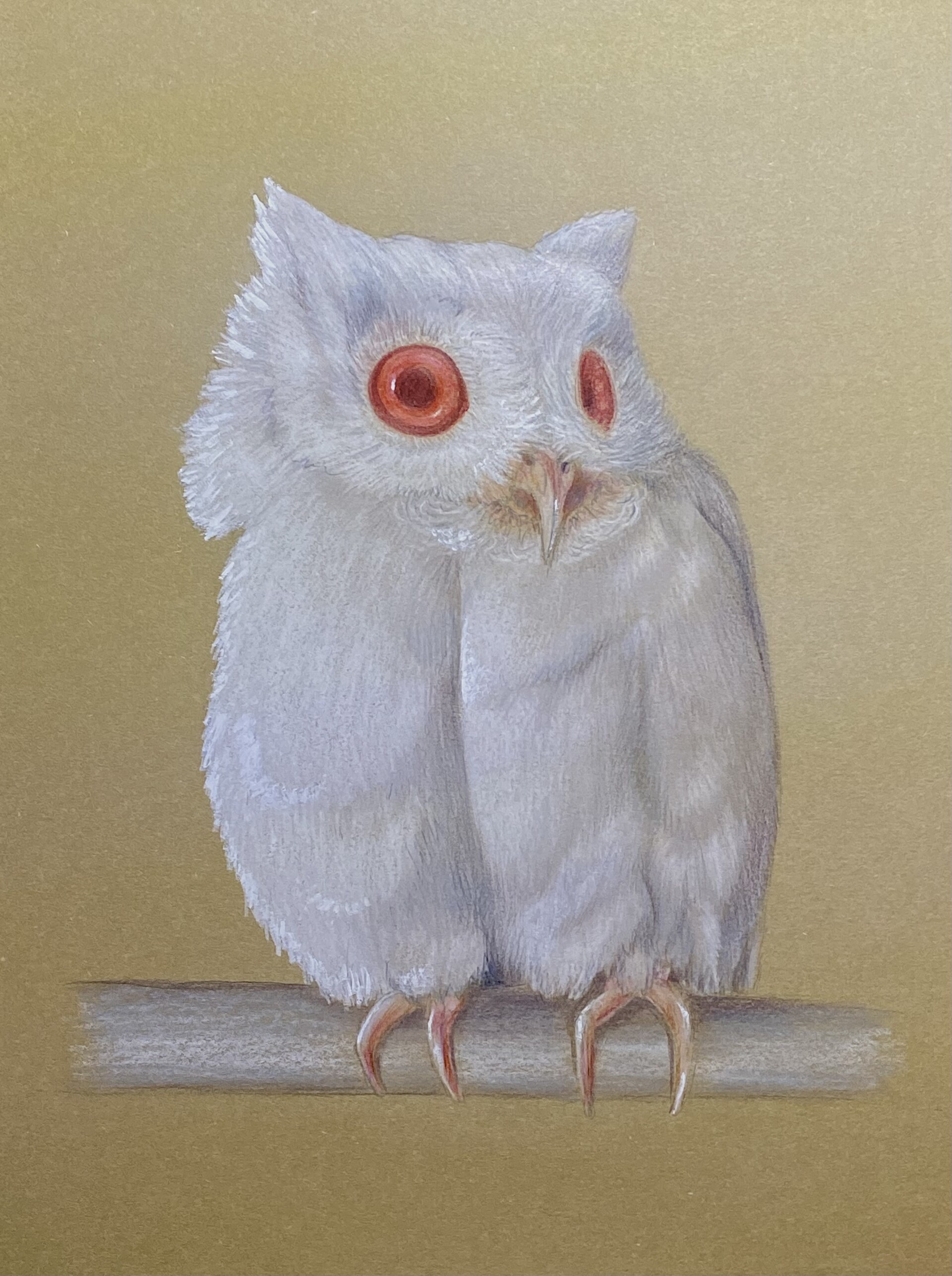 ArtStation - Animal Study