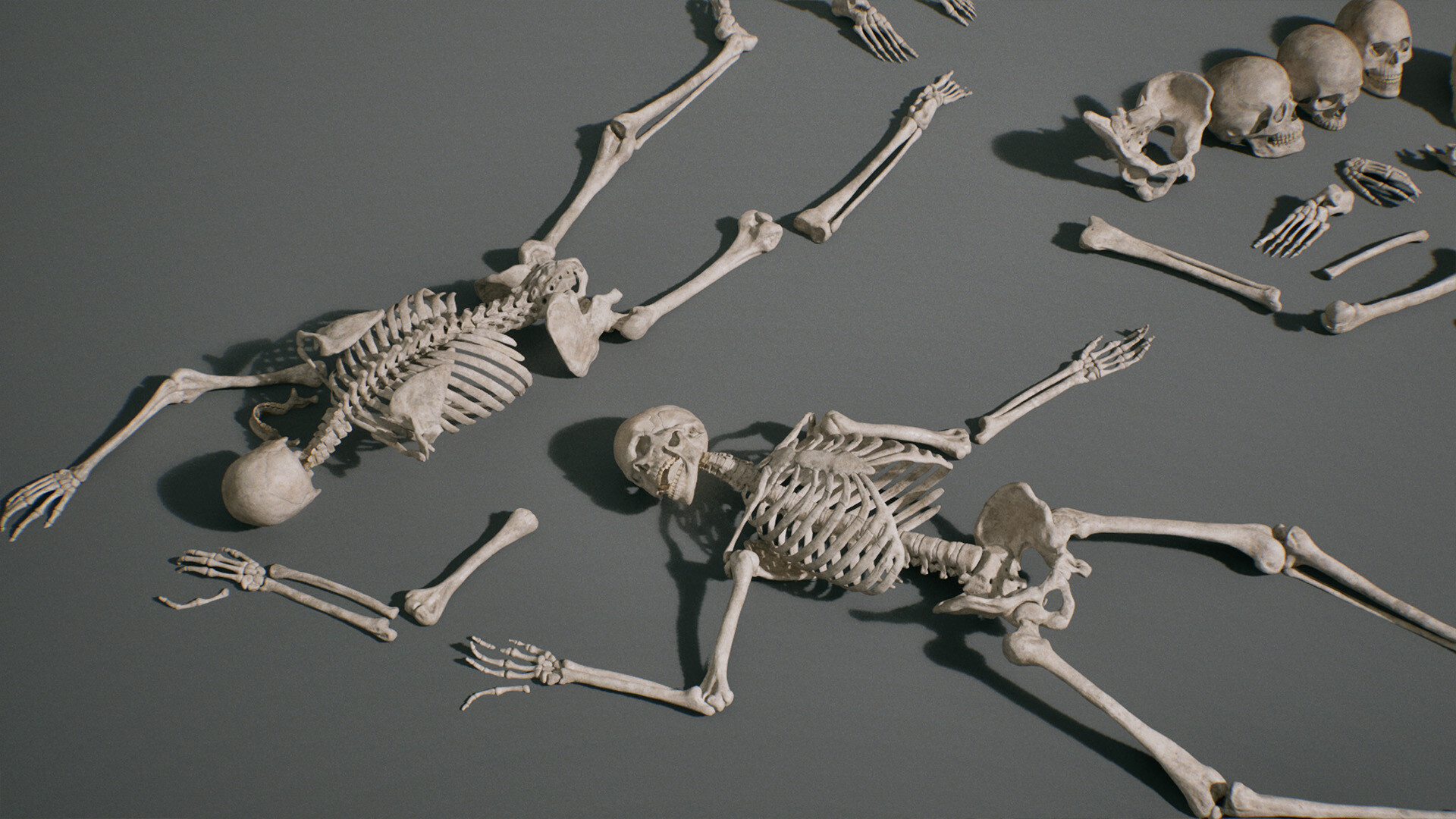 Dekogon Studios - Bones (UE5)