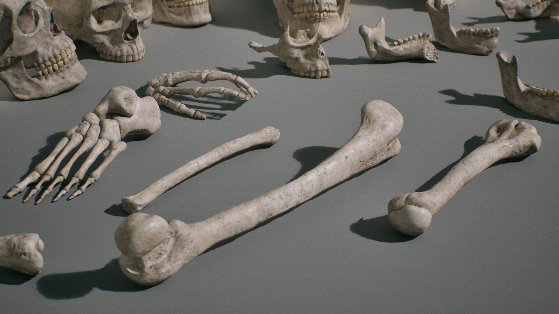 Dekogon Studios - Bones (UE5)