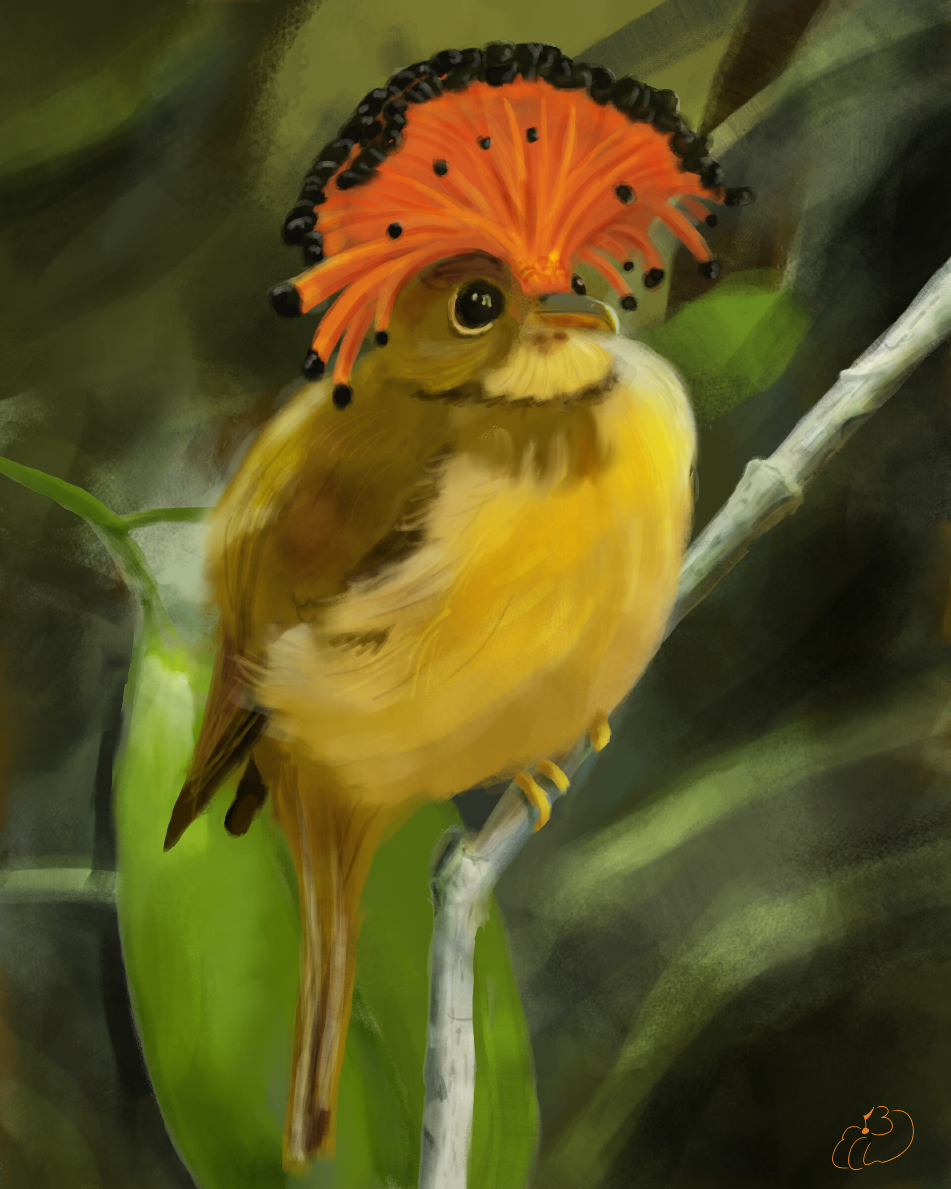 Amazonian Royal Flycatcher
