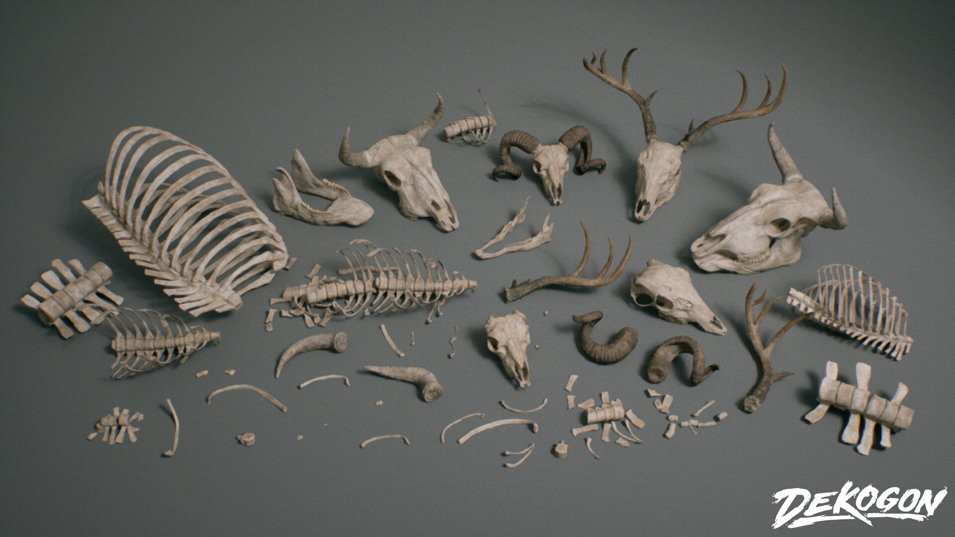 Deepanshu Saini - Bones Animal