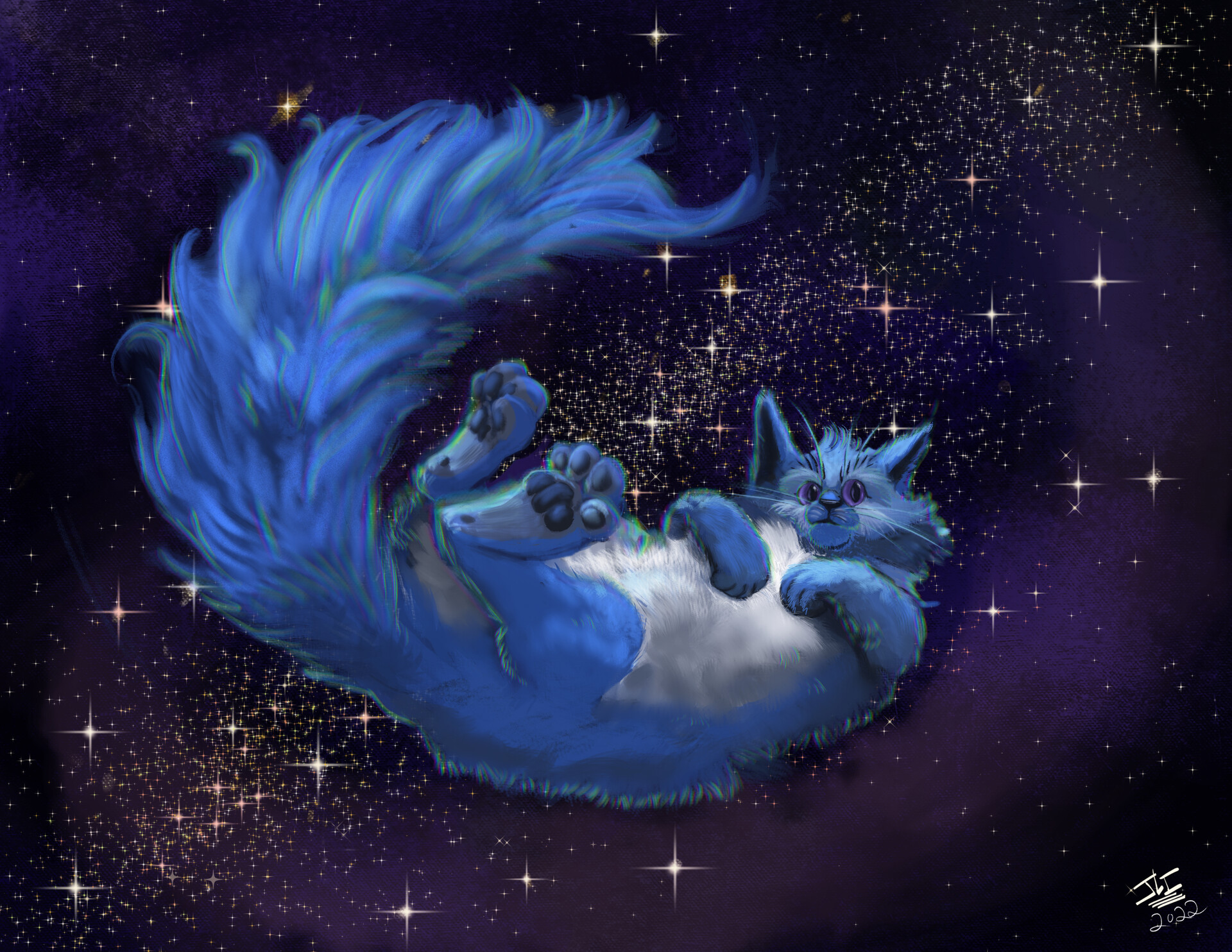 ArtStation - Space Kitty