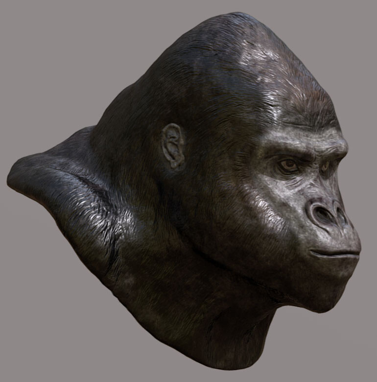 ArtStation - Imara the Silverback Gorilla