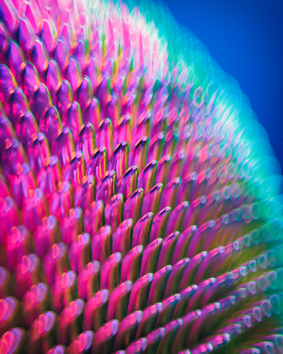 Taylor Howe - DAILY ART - FEBRUARY 2022