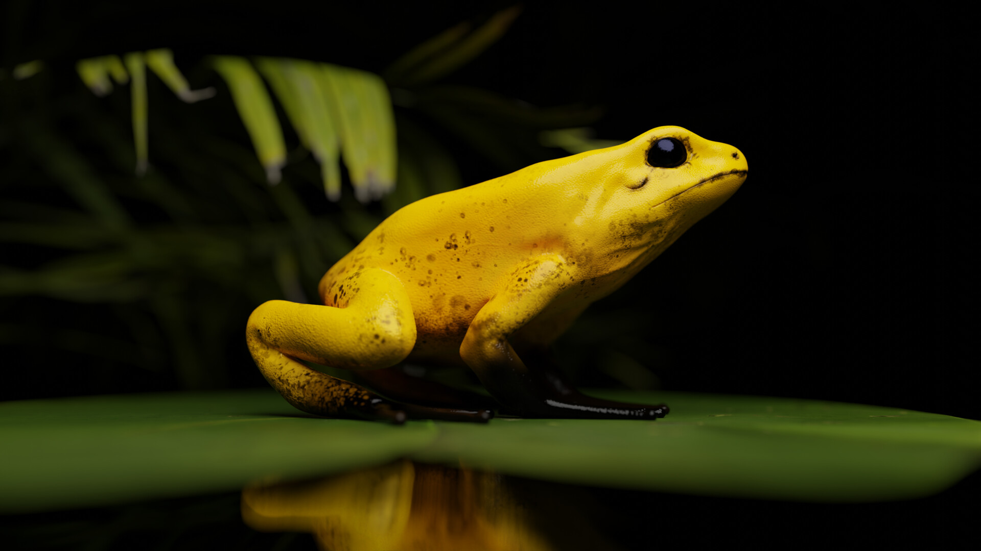 Waveus - 3D ARROW FROG