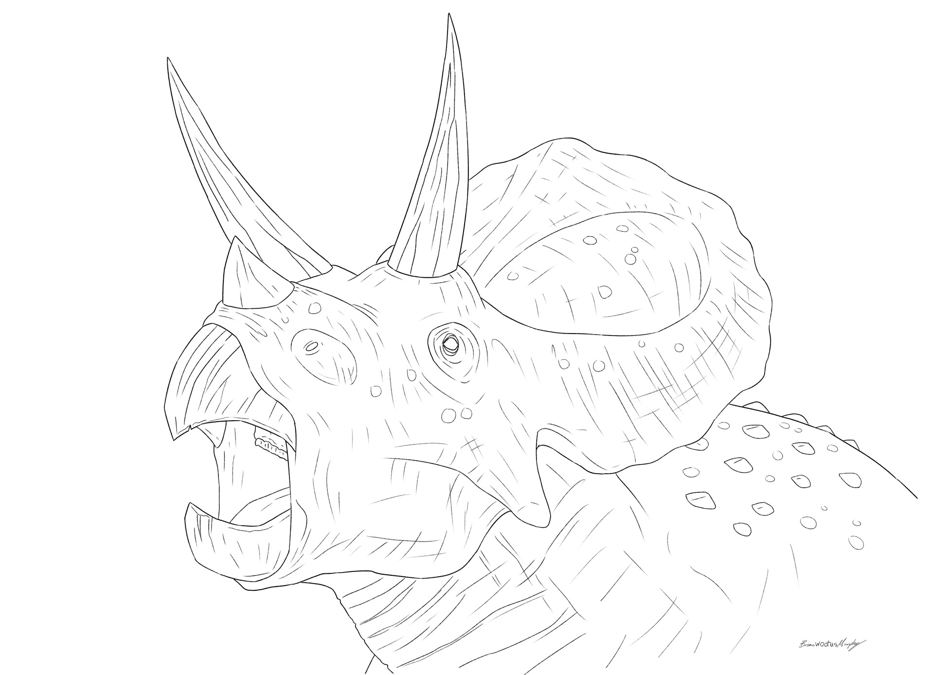 Brian J Murphy - Portrait Of A Torosaurus