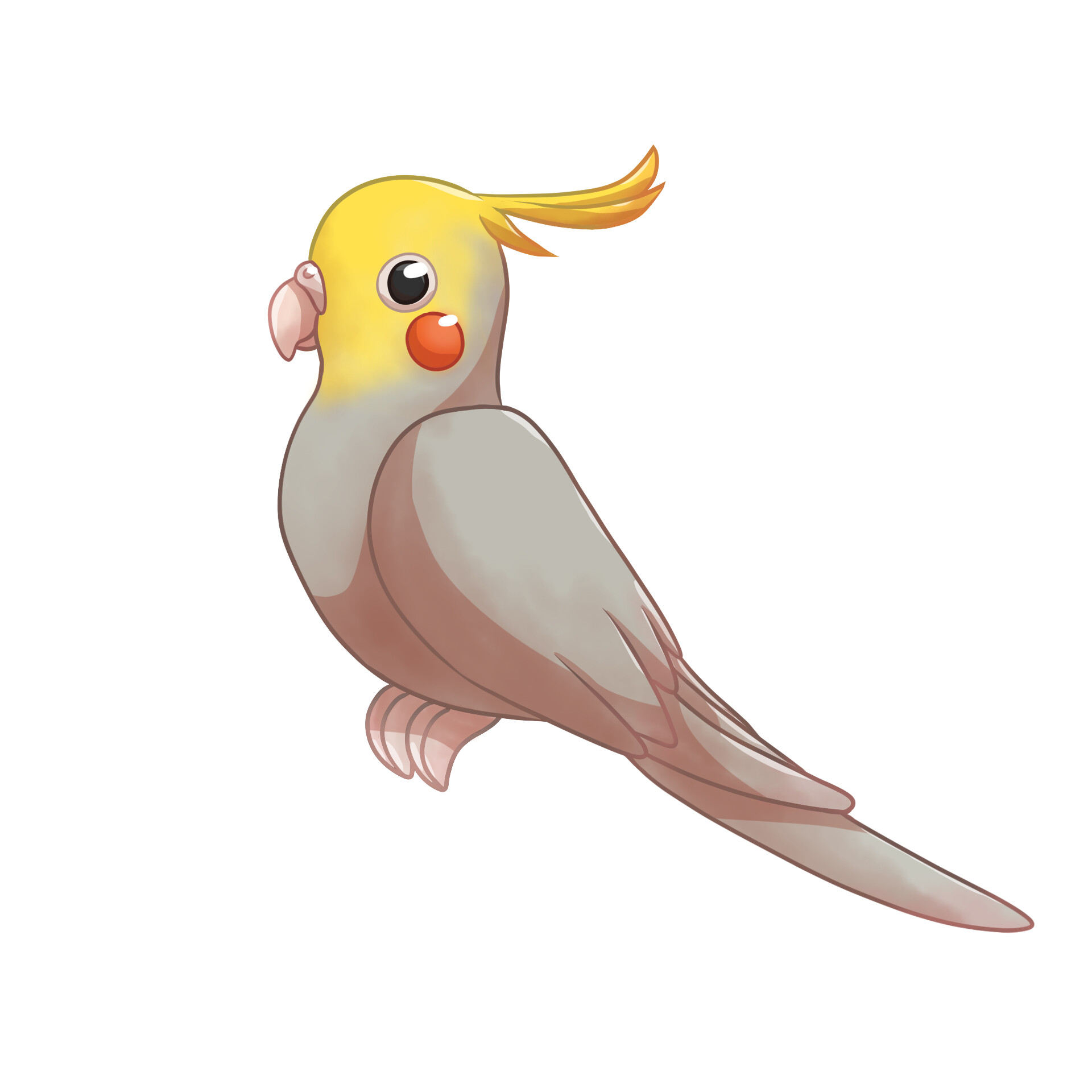 Cocktail Bird Drawing