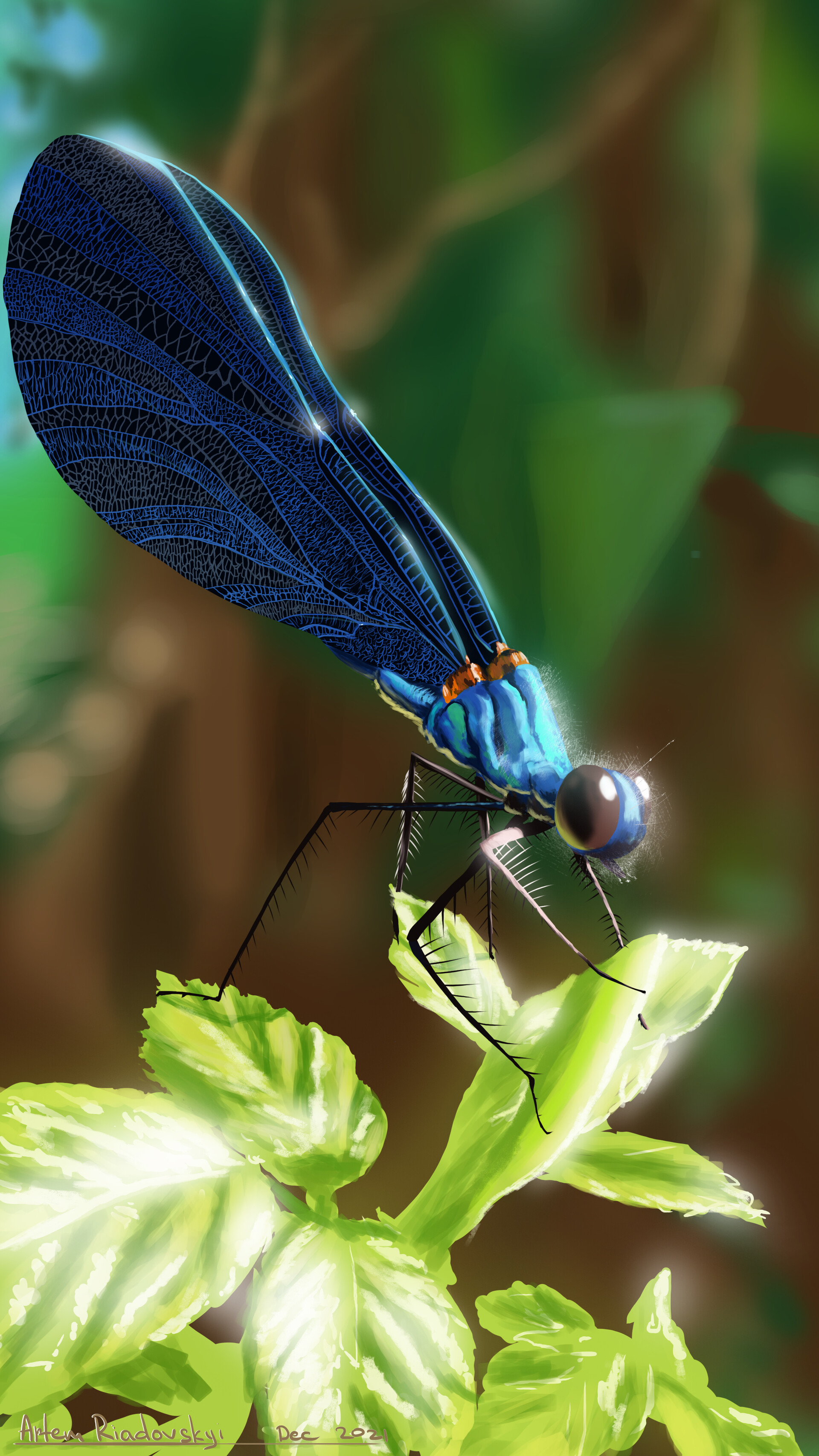 ArtStation - Blue dragon