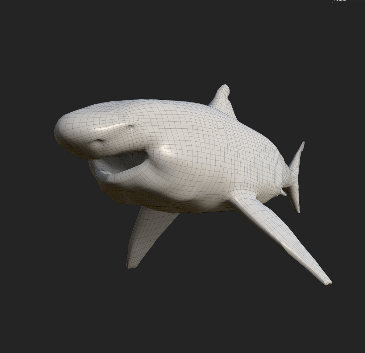 Adam Golding - Great White Shark