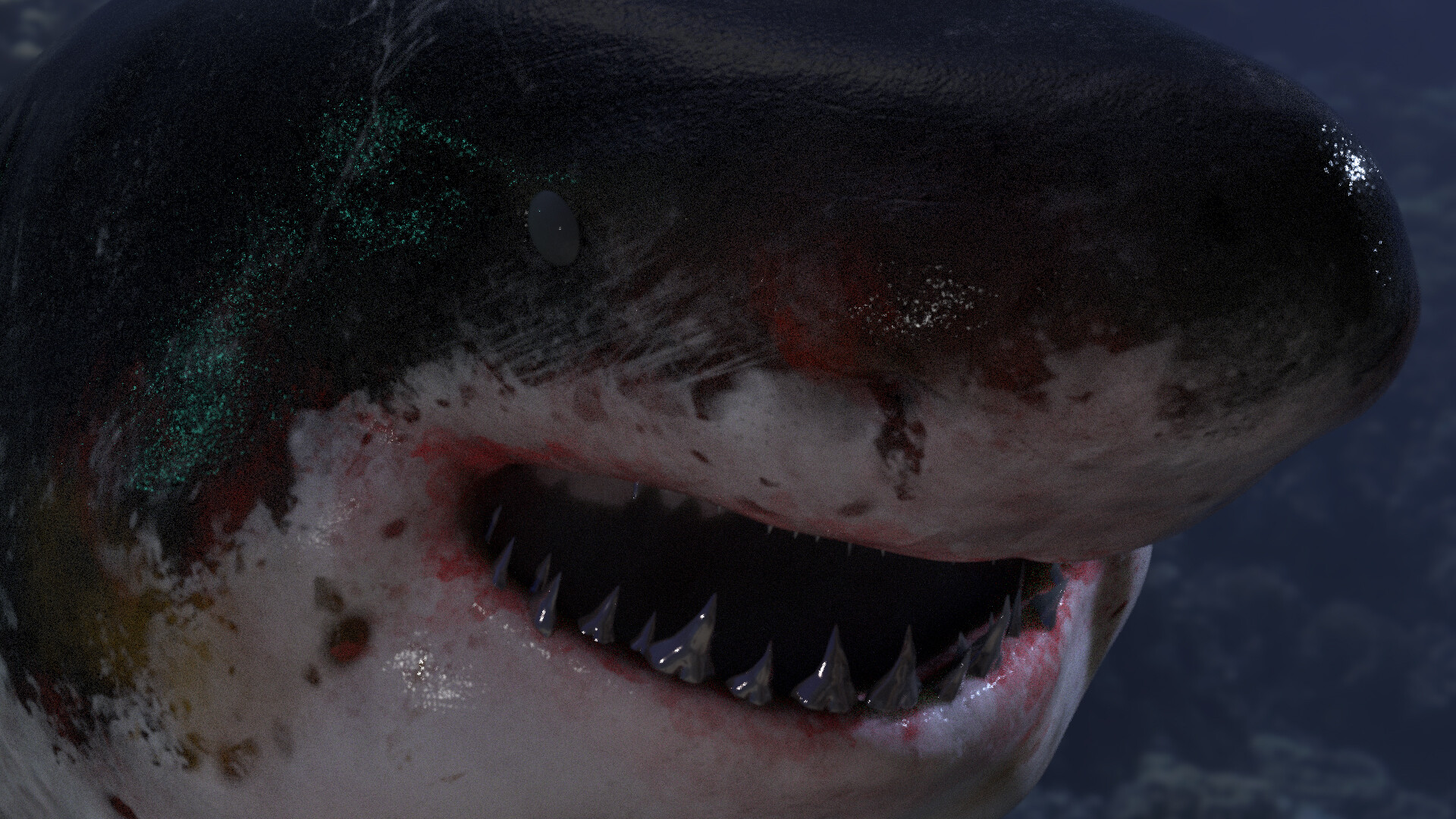 Adam Golding - Great White Shark