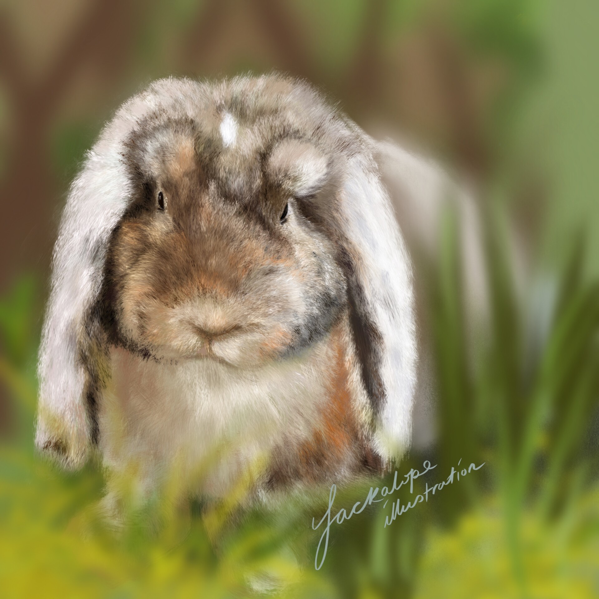 ArtStation - Rabbit in the garden