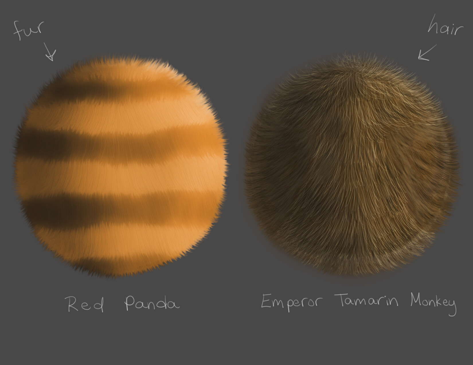 ArtStation - Texture Study