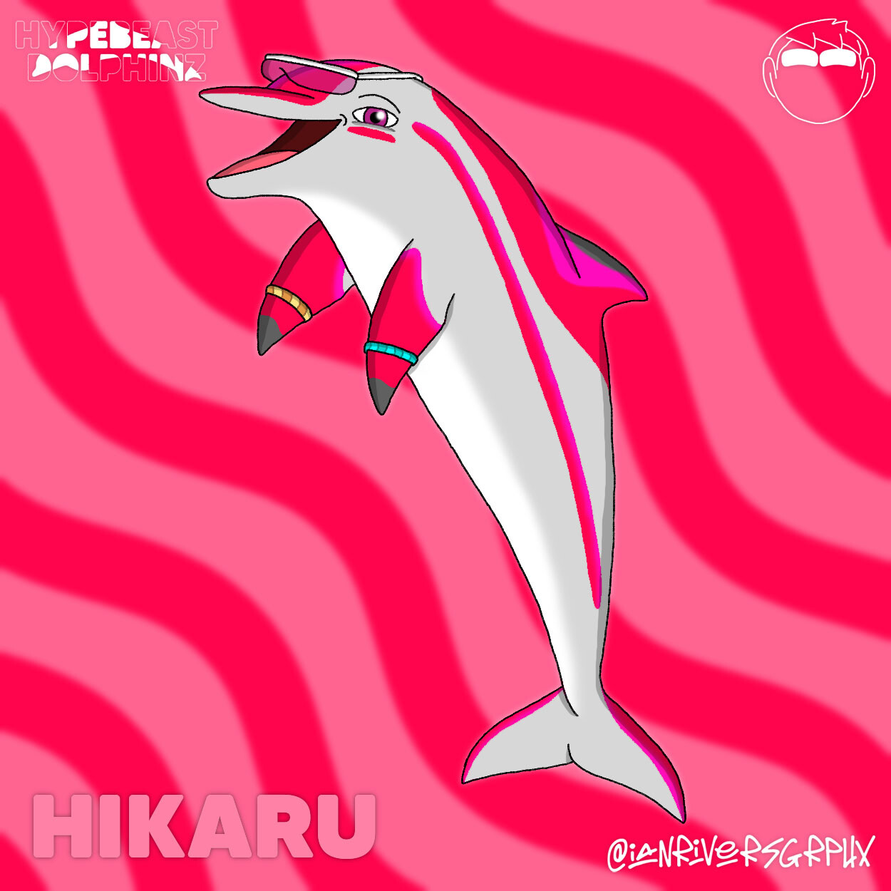 Pink Dolphin Character