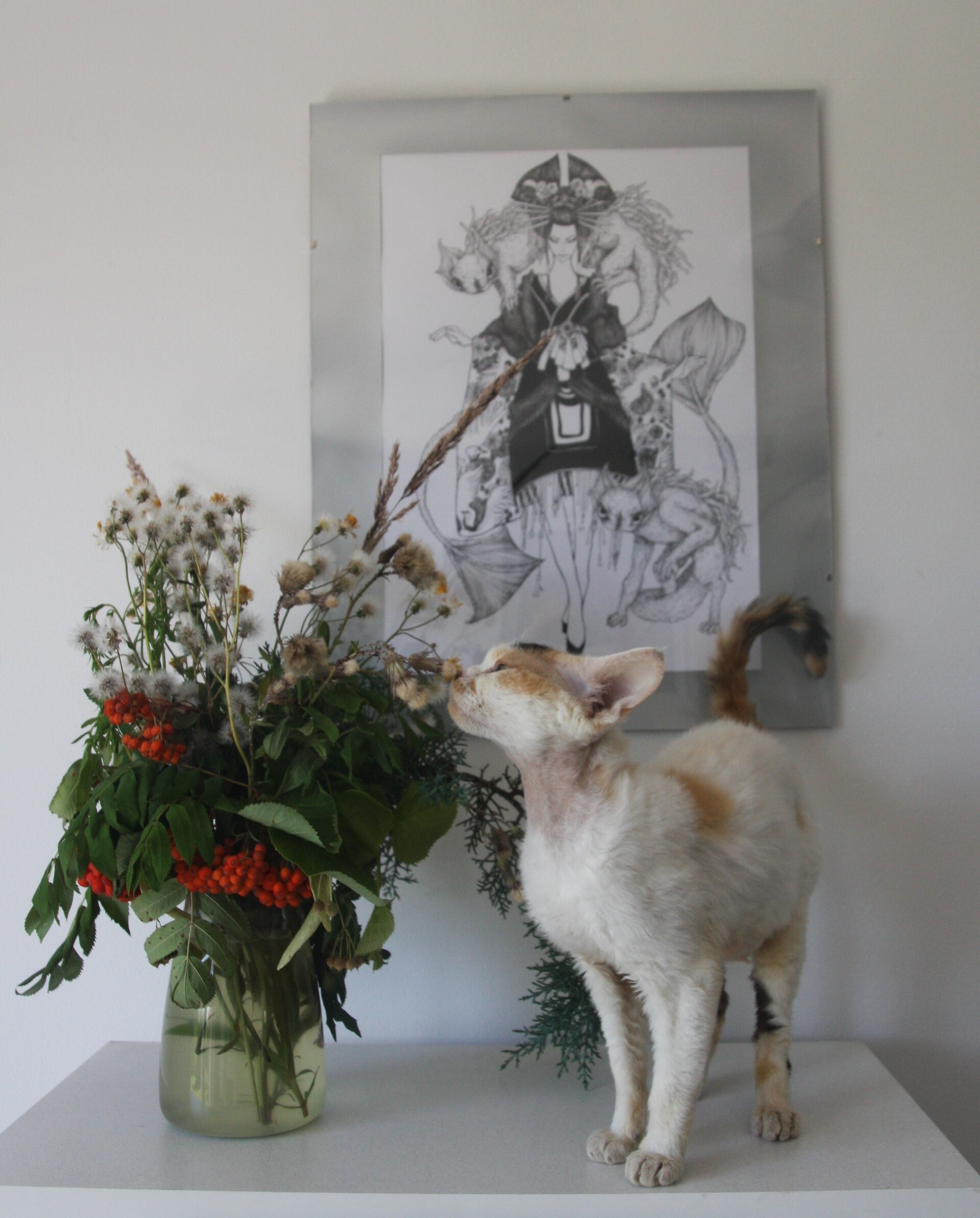 ArtStation - Witch's Pets