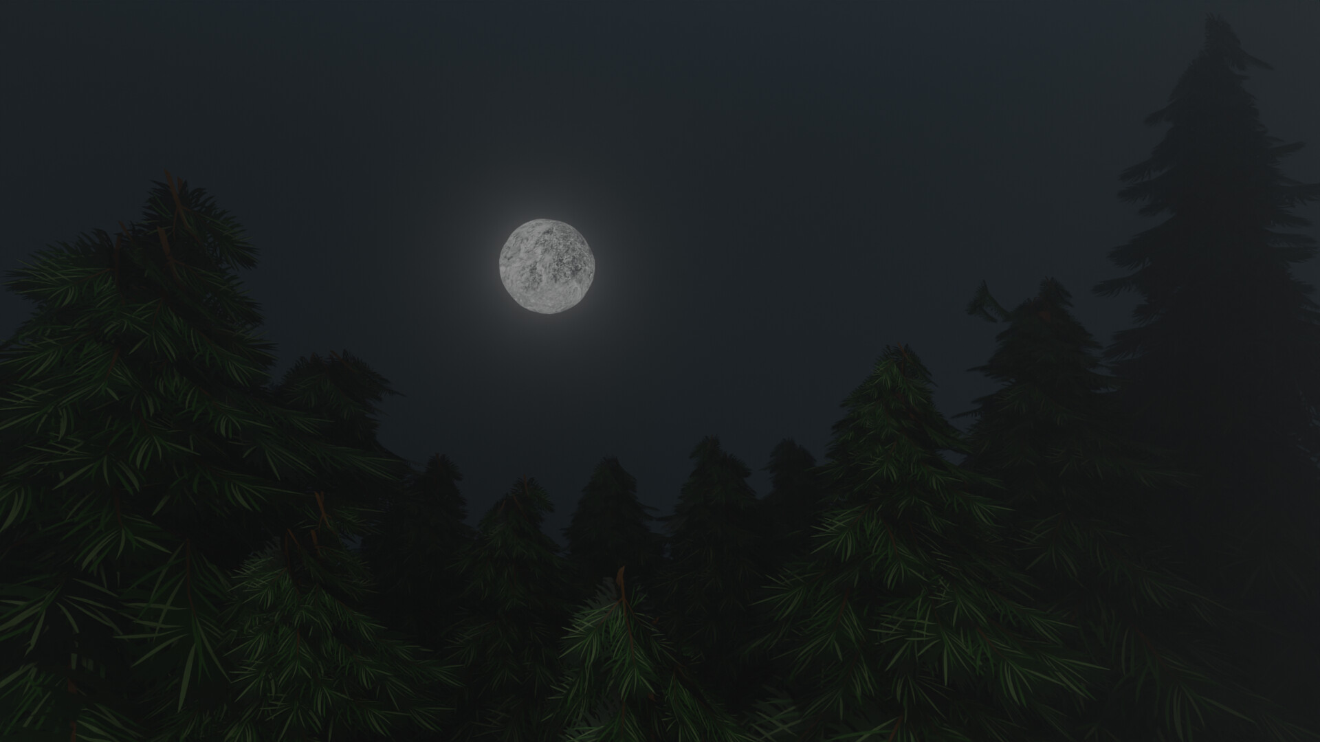nighttime forest