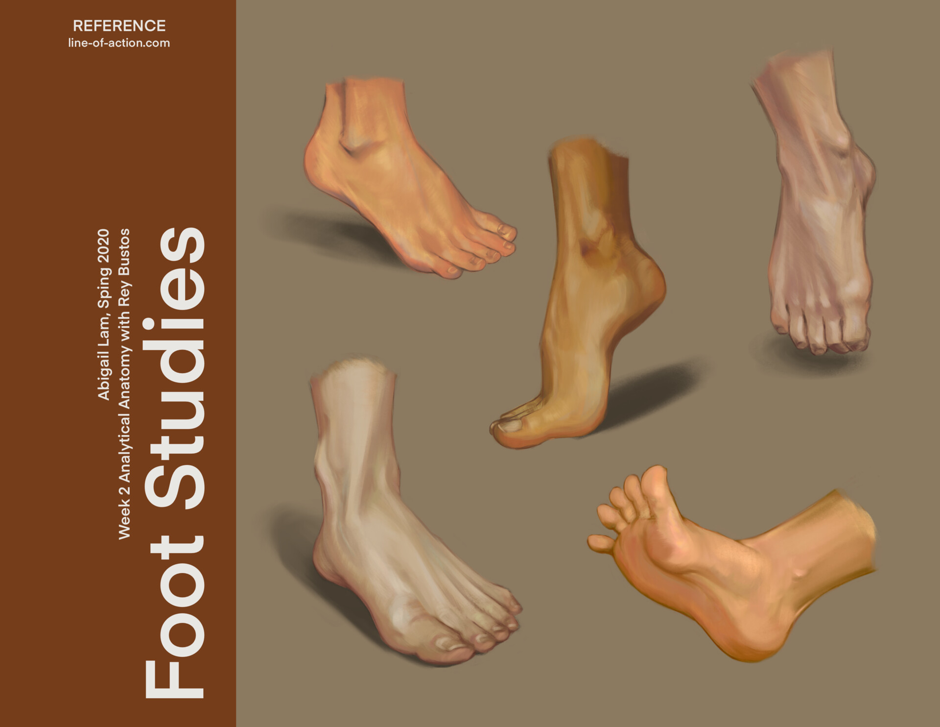 ArtStation - Hand, Feet, and Torso Study