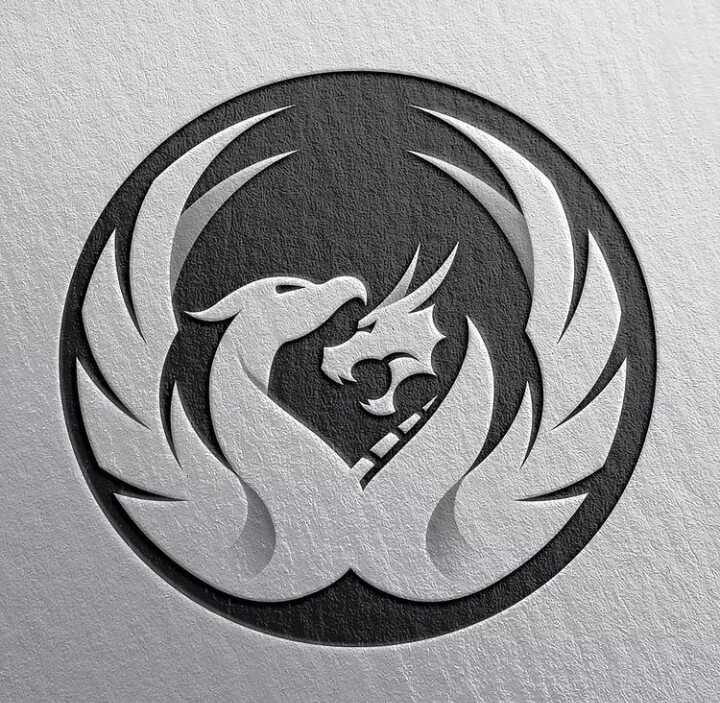 Dragon Optics Logo