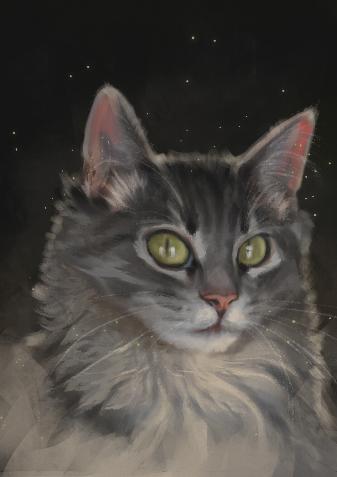 ArtStation - cat study
