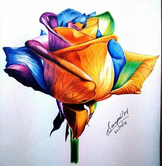 ArtStation - Abstract Rose